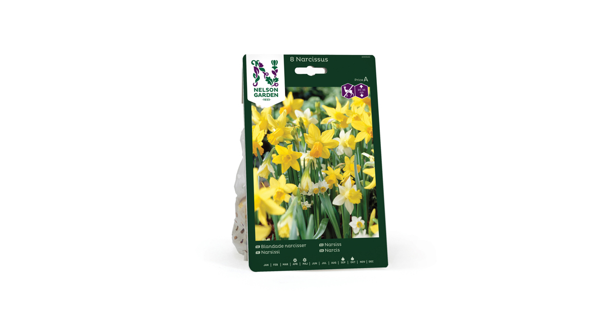 Høstløk narsiss blanding | Nelson Garden | Felleskjøpet